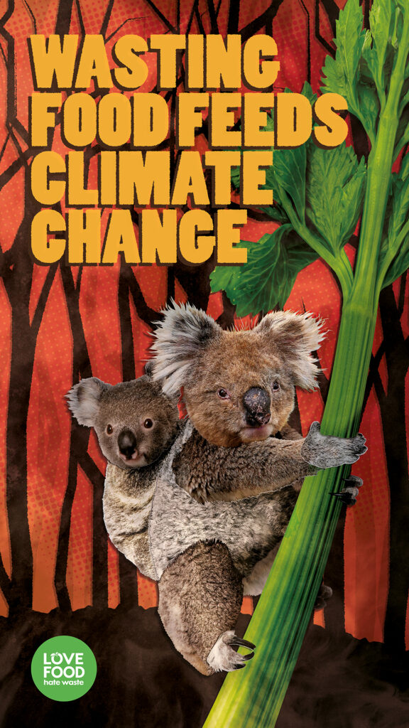 Sheffield Food Waste: Council and charity join forces to set out ...